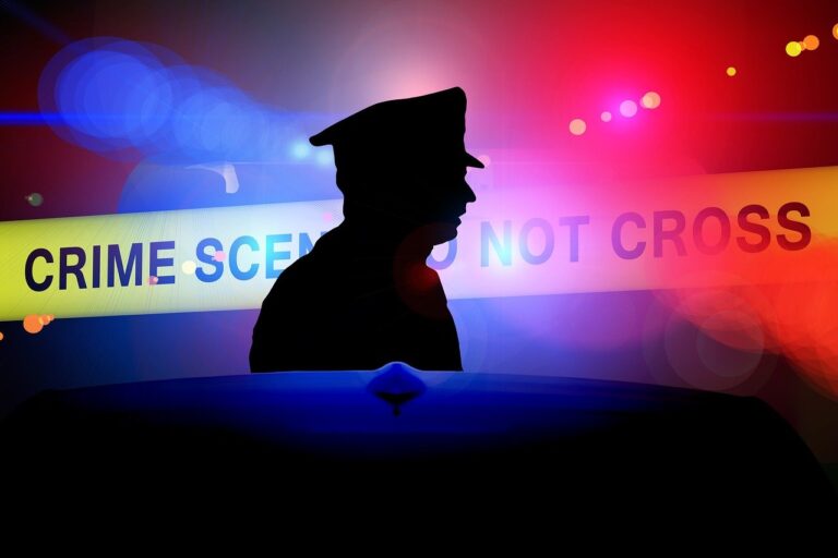 Europe’s Thin Blue Line: How the Far-Right Imposes Its Ideology on the ...