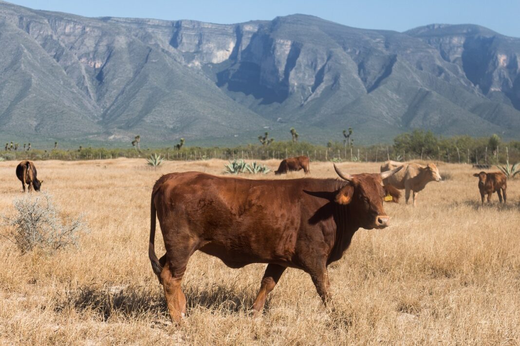 DHS, USDA, and CDC Conduct Exercise to Strengthen America’s Food ...