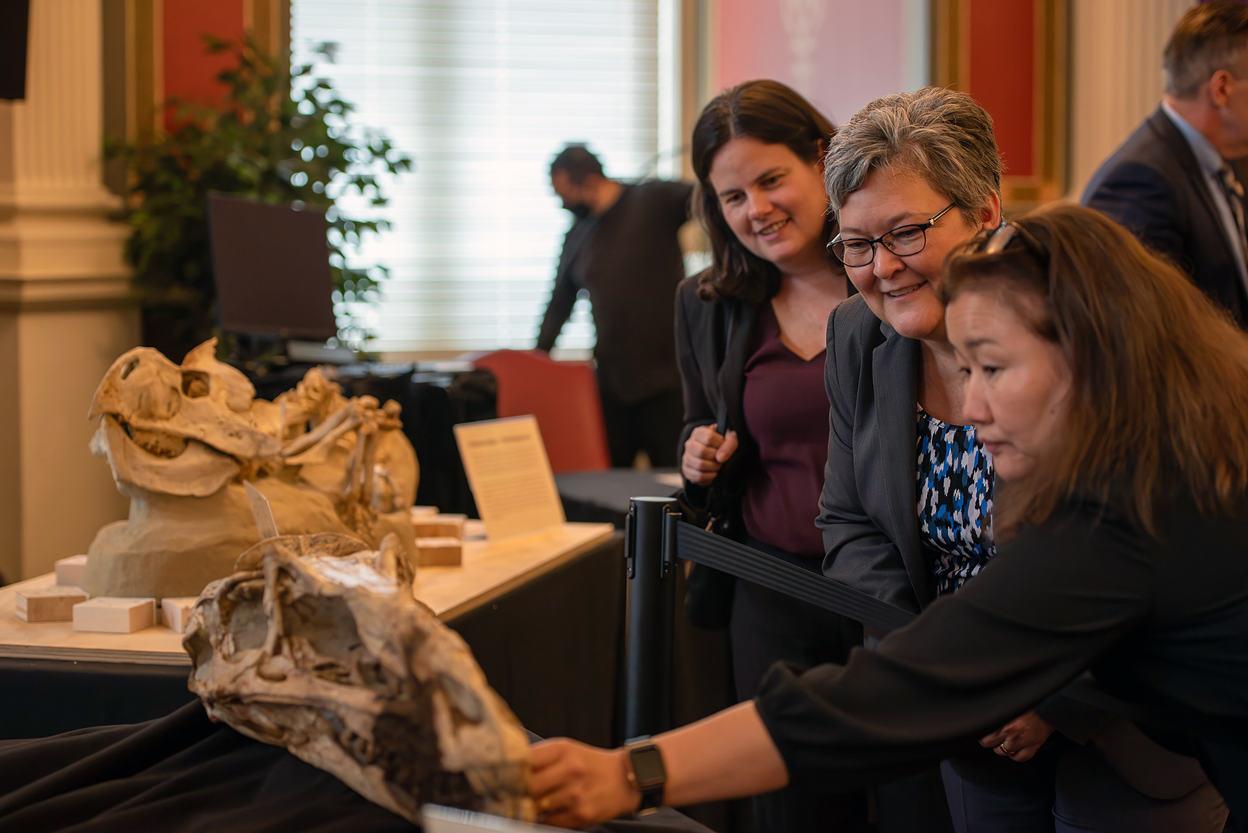 HSI Repatriates High-Profile Dinosaur Fossils to Mongolia - HSToday
