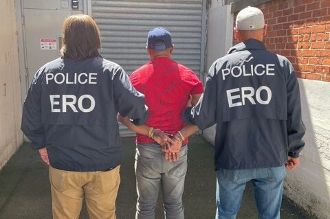 Understanding ICE ERO Removal Operations: The Who, Why, and How ...