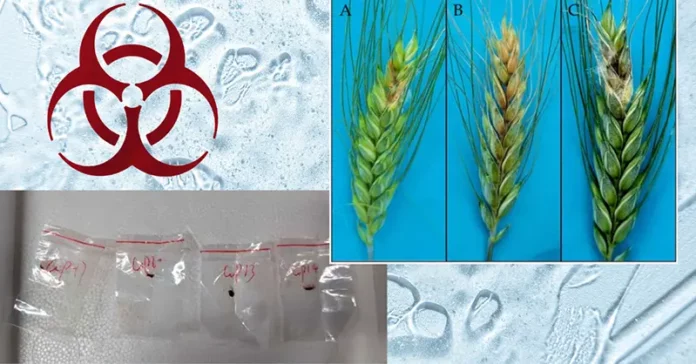 U.S. Agricultural Defenses Fall Short Against Rising Agroterrorism ...